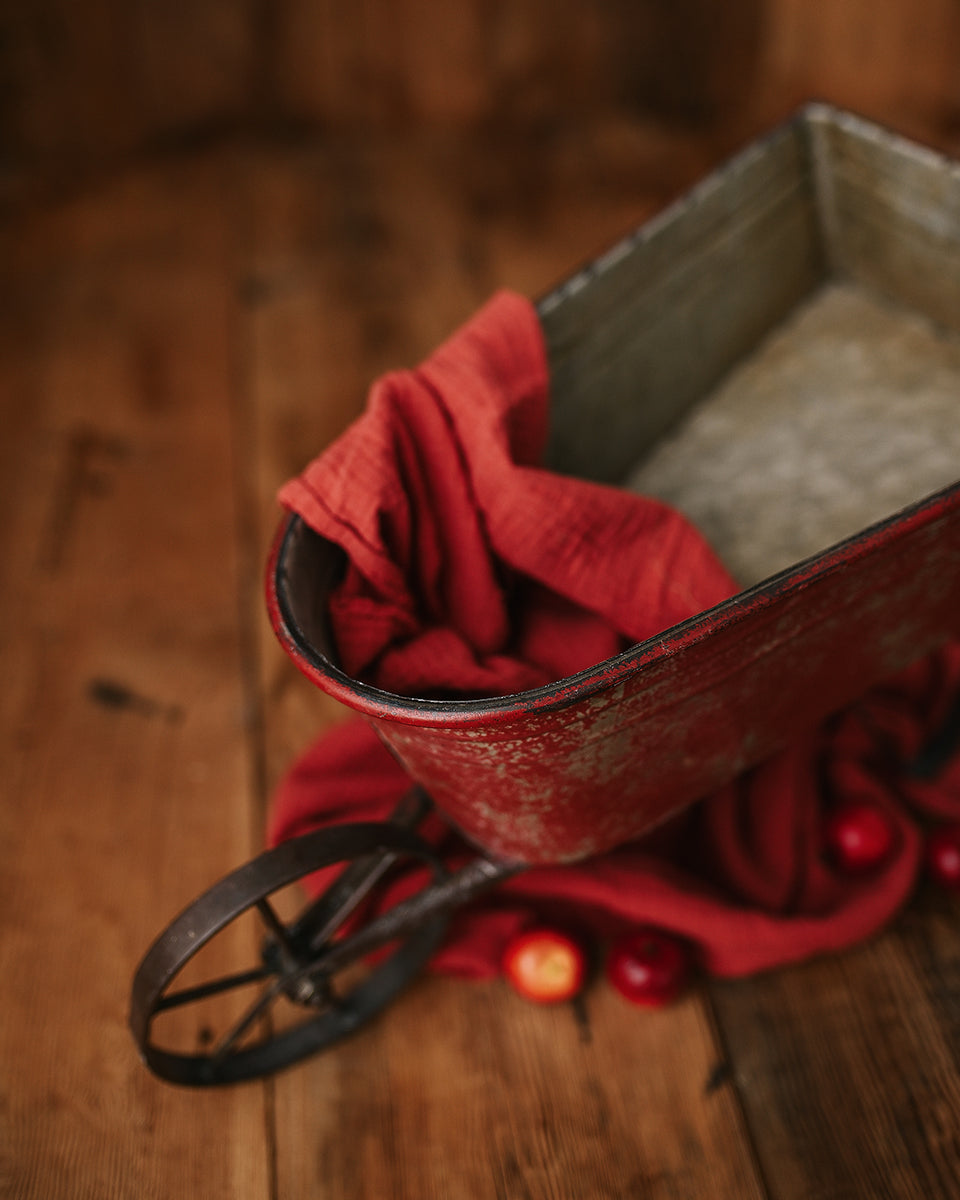 Red Square Wheelbarrow · Eli – lemongraph